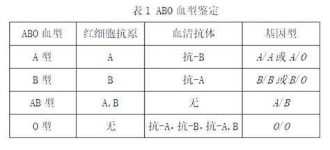 带你了解abo血型和rh血型