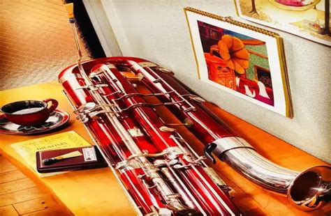 What Is The Largest Bassoon In The World