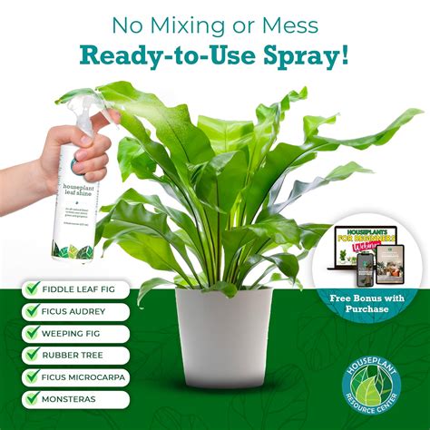 Houseplant Leaf Shine Spray