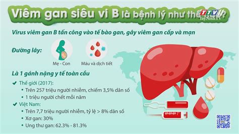 Viêm gan siêu vi B Cẩm nang sức khỏe TayNinhTV YouTube