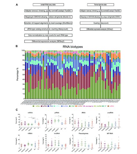 Rna Biotypes A Rna Sequencing Data Analysis Pipeline B Percentage