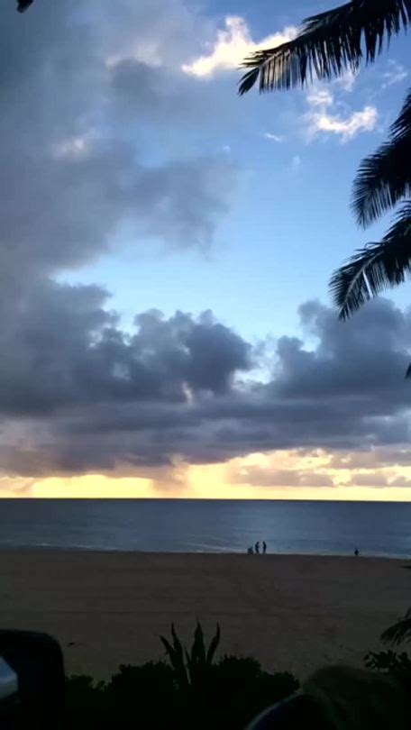 Something About The Island Life Gets Me Tumbex