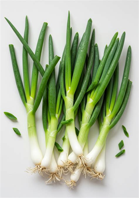 파효능 대파 쪽파 파뿌리 효능과 파뿌리차 만드는법 네이버 블로그