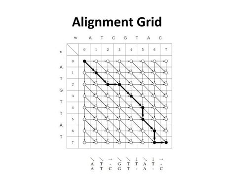 ppt dynamic programming algorithms powerpoint presentation free