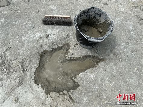 ဗြိတိန်နိုင်ငံ၌ ယခုအထိ ၎င်းနိုင်ငံ၏အတိုင်းအတာအကြီးဆုံးသော ဒိုင်နိုဆောခြေရာများကို တွေ့ရှိ