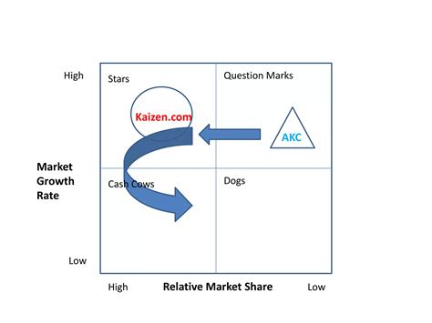 Bcg Strategy Canvas Pdf
