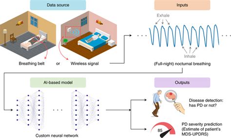 overview of the ai model for pd diagnosis and disease severity