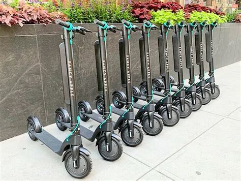 How To Rent An Electric Scooter Easy Guide And Tips Pickmyscooter