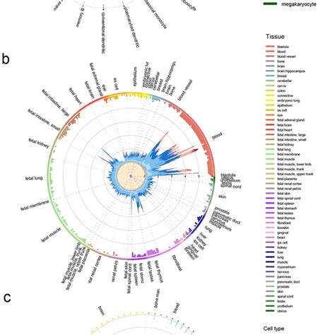 Enrichment Of Ms Gwas Associations In Open Chromatin Regions Ocrs A Download Scientific