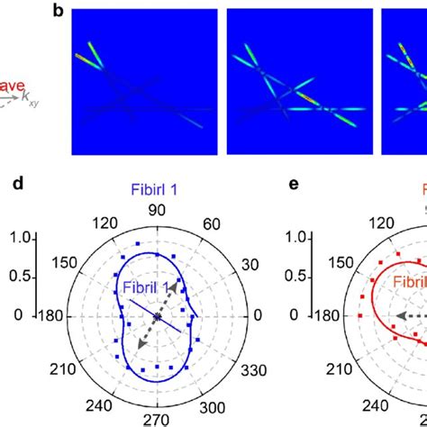 Optical Coupling In A Network A Illustration Of The Optical Coupling