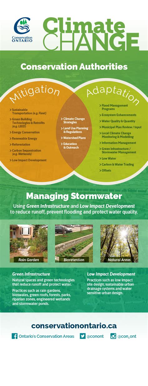 Mitigation And Adaptation Conservation Ontario