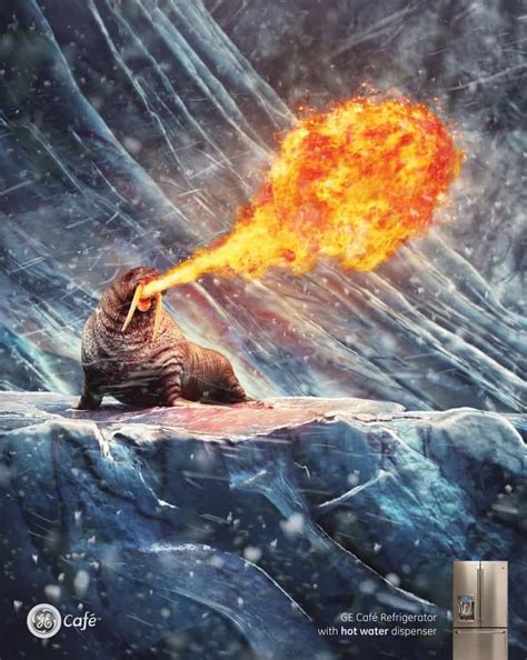 Pub Ge Café Un Pingouin Cracheur De Feu