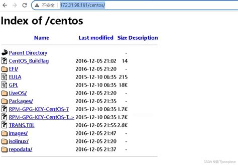 内网环境搭建centos7 Yum源及ntp服务配置 Csdn博客