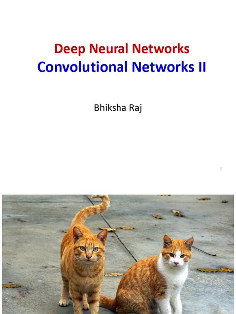 lec8 cnn pdf visual cortex neuroscience
