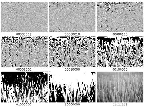 一种基于亮度分布特征的数字图像指纹提取方法与流程