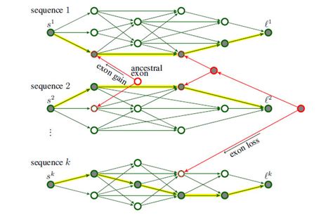 Simultaneous Gene Prediction In Multiple Genomes Rna Seq Blog