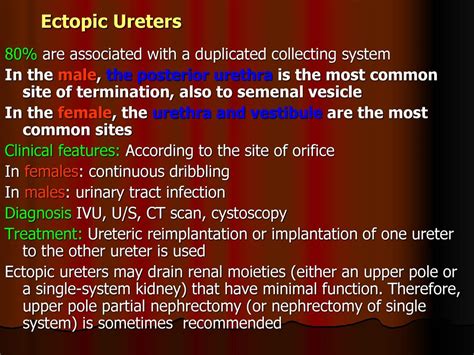 بسم الله الرحمن الرحيم Urology ppt download