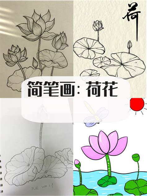 荷花怎么画简笔画（高清15张）简笔画图片大全