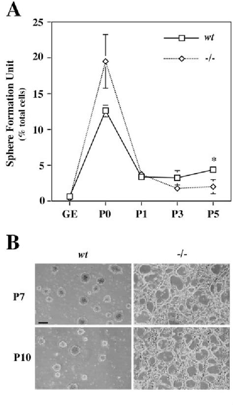 Figure 1 From The Ciliary Neurotrophic Factor Leukemia Inhibitory