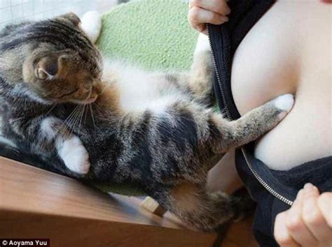 Japanese Photographer Trending For Mixing Cats With Boobs Koreaboo
