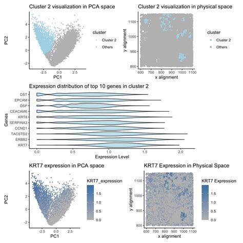 Hw 4 DEG Analysis Genomic Data Visualization