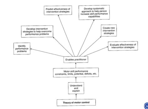 Theories Of Motor Control Flashcards Quizlet