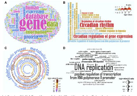 Figure 1 From WocEA The Visualization Of Functional Enrichment Results
