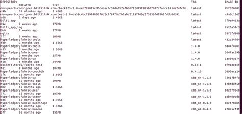 Docker Why The Chaincode In My Hyperledger Fabric Network Taking 1