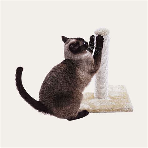 Sisal Rope Wrapped Cat Scratching Replacement Posts Fits Armarkat Cattreeparts
