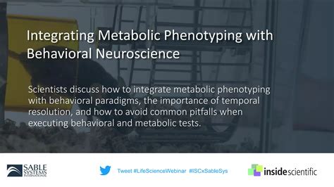 Integrating Metabolic Phenotyping With Behavioral Neuroscience Ppt