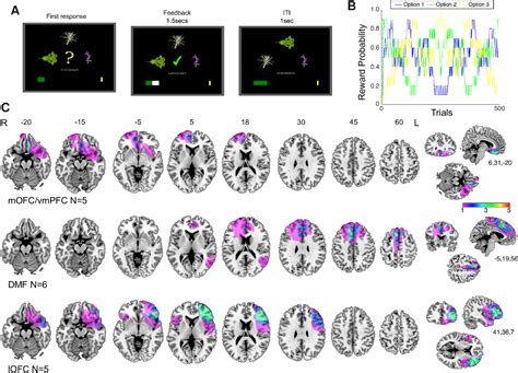 Figure 1 From Contrasting Effects Of Medial And Lateral Orbitofrontal Cortex Lesions On Credit