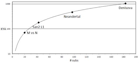 Molecular Clock Graph