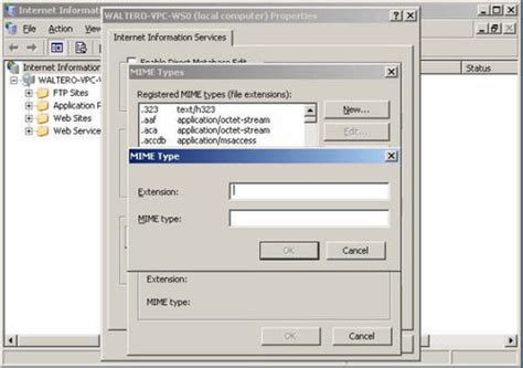 Configuring IIS On Windows Server For Silverlight Applications Osuna