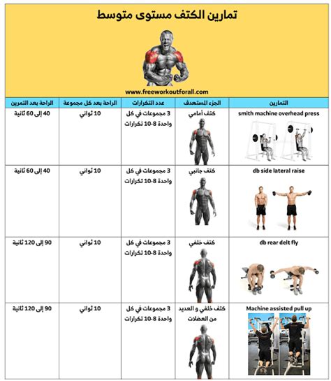 تمارين الكتف للمبتدئين Shoulder Workout Gym Workouts For Men Gym