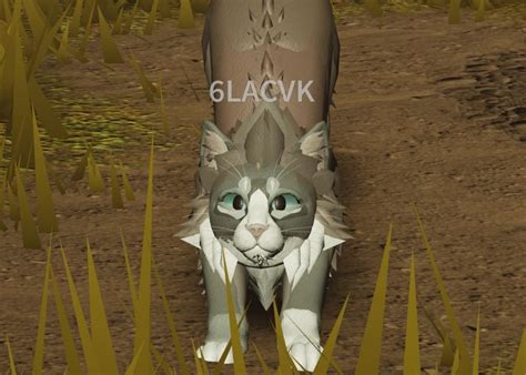 Wcue 6lacvk On Roblox Roblox Warrior Cats Ragdoll