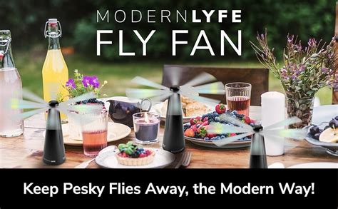 Fly Fans For Tables By Modern Lyfe Aa Battery And Usb