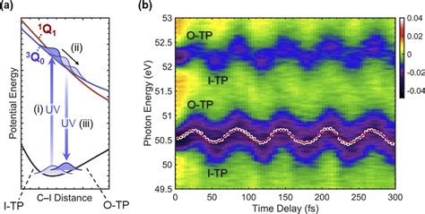 Figure 5 From Mapping Wave Packet Bifurcation At A Conical Intersection
