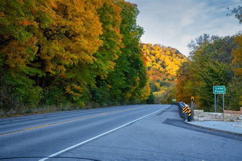가을 가을 색 가을 시즌 가을 풍경 가을의 나무 경치 경치 좋은 전망 계절 색상 계절의 변화 고속도로 나무 노란 잎 농촌의 단풍 도로 도로 표지판