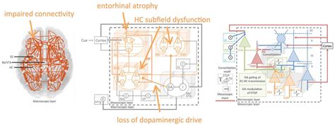 Brain Simulation Section Research