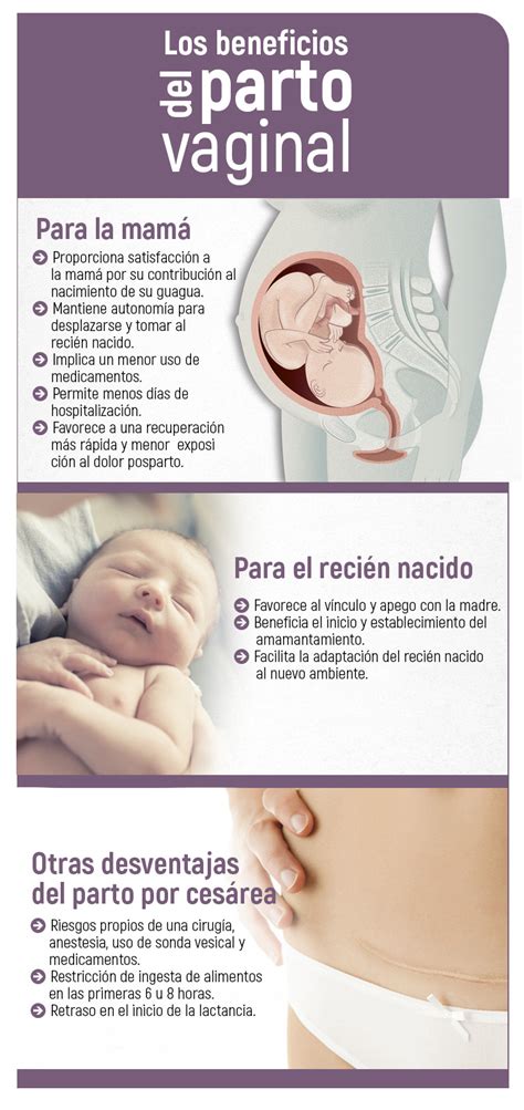 Parto Vaginal Natural Educativo