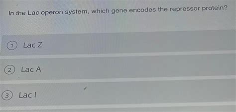 Answered In The Lac Operon System Which Gene Encodes The Repressor Kunduz