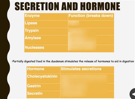 Secretion And Hormone Practice Diagram Quizlet