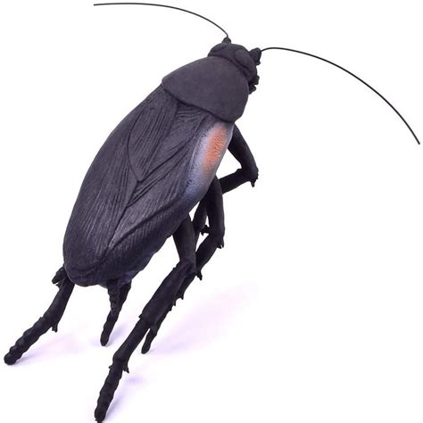 Super Jumbo Cockroach 7 Magic Inc