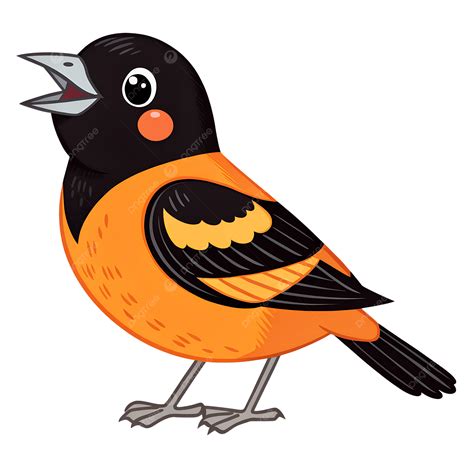 Cartoon Baltimore Oriole Bird Illustration Roller Bird Illustration