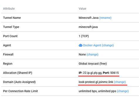 Srv Records How Minecraft Finds Where To Connect Gedasdev A Quest Of Sorts