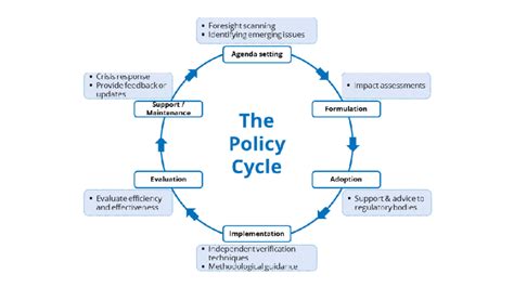 It Is Common To Present The Policy Process As A Sequence Of Steps