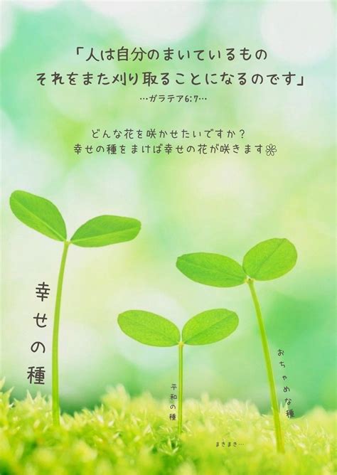 エホバ 収穫 種まき おちゃめ 世界に1つだけの花 幸福の秘訣 新世界訳聖書 聖書の言葉 聖書カード