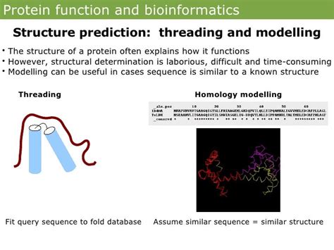 protein function and bioinformatics