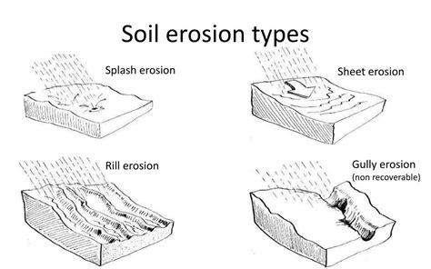 Difference Between Sheet And Rill Erosion At Helen Porter Blog