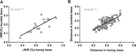 Comparison Of Odor Coding In Bumble Bee And Honey Bee Al A Download Scientific Diagram